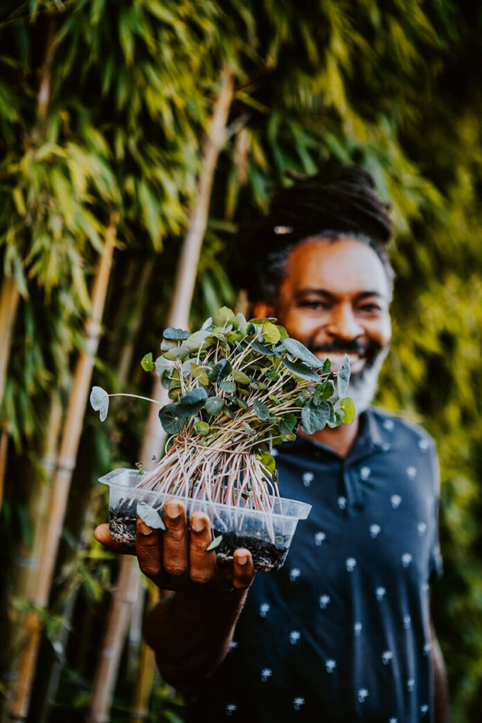 Les Pousses de Louise, quand la nature se cultive en ville avec Ruddy ...